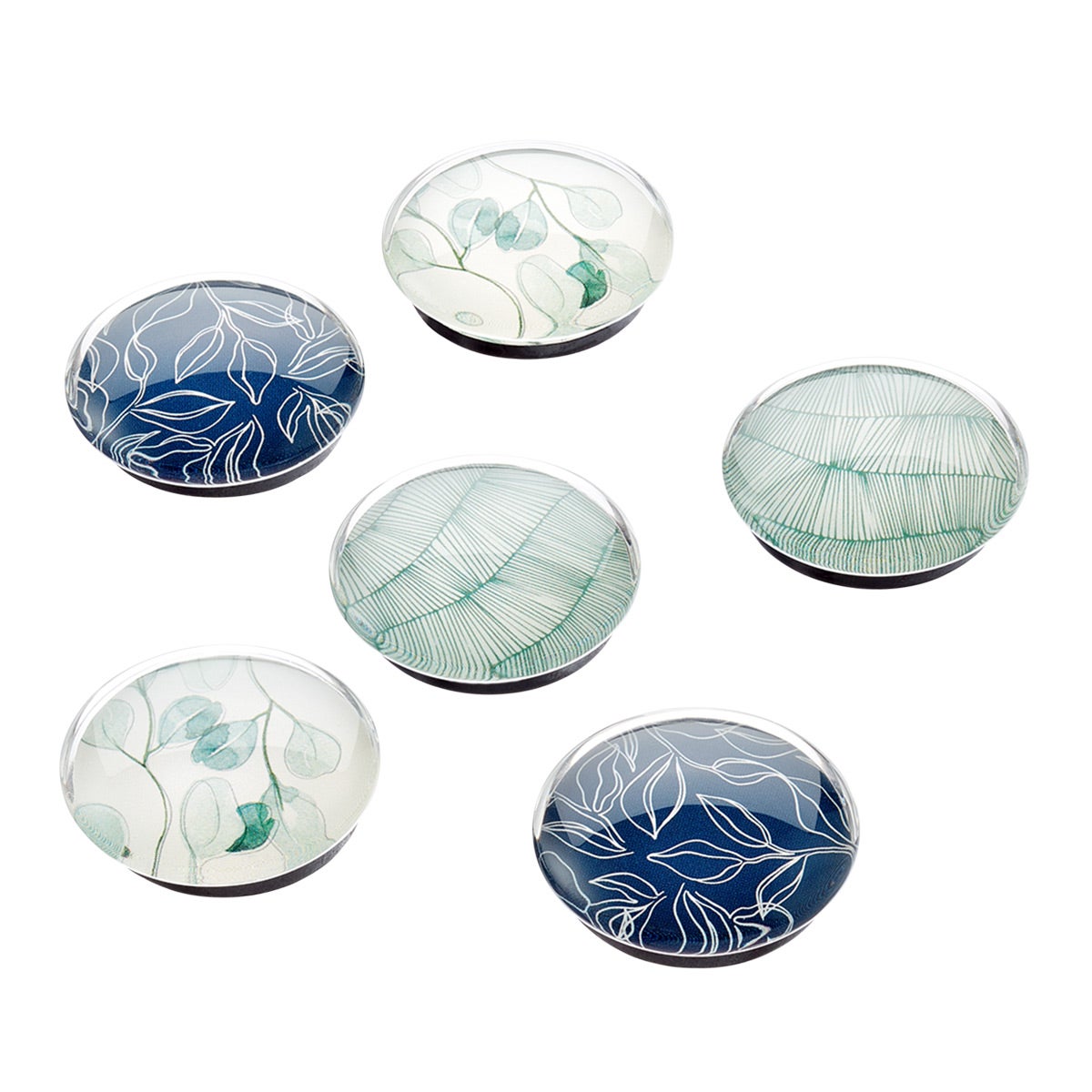 Animal Print Glass Magnets | The Container Store