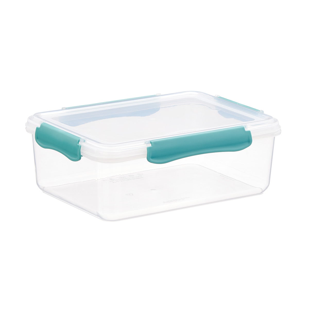 Plastic Food Containers with Mint Clips | The Container Store