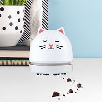 Cat Vac Desk Vacuum | The Container Store