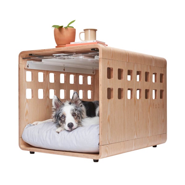 Fable Pets Pet Crate with Acrylic Gate | The Container Store