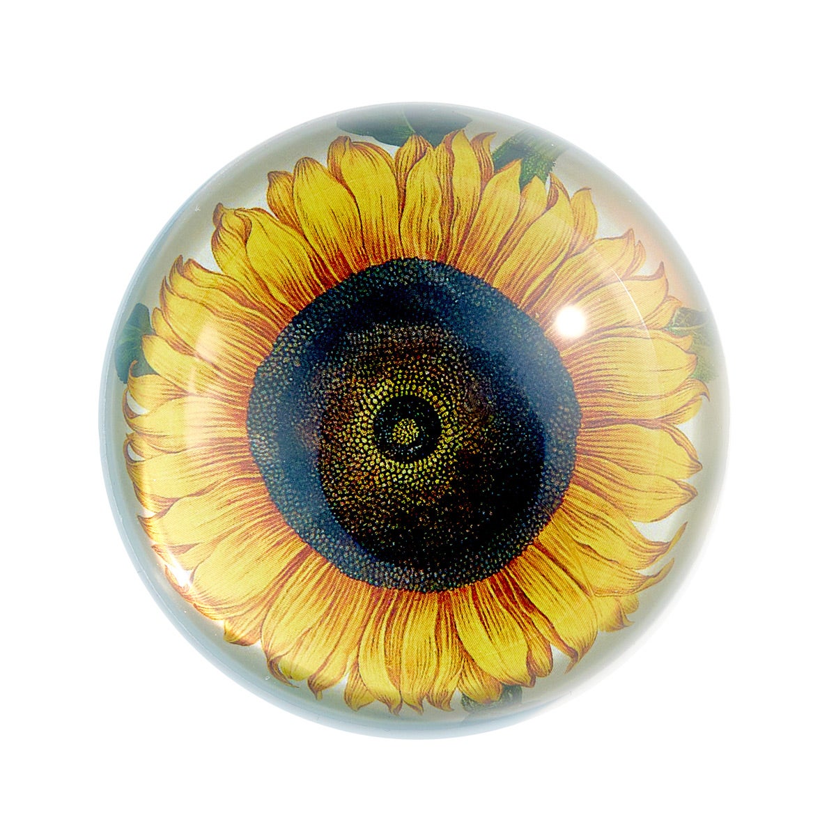 Ben's Garden Glass Paperweight | The Container Store