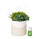 Lifelines Plant Diffuser | The Container Store