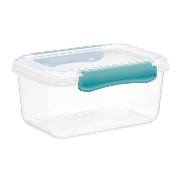 1 qt. Plastic Food Containers with Mint Clips | The Container Store