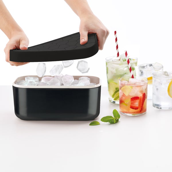 Lekue Ice Box | The Container Store